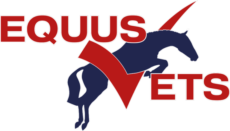 Our Team – Equus Vets