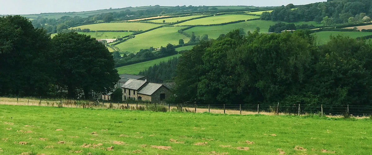 Practice Area – Equus Vets