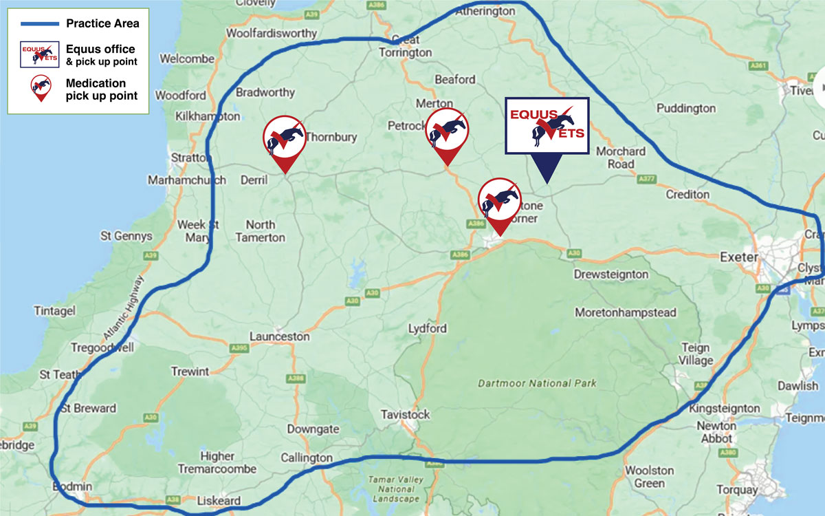 Practice Area – Equus Vets