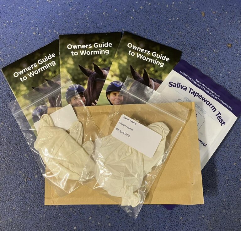 Annual Worming Programme – Equus Vets